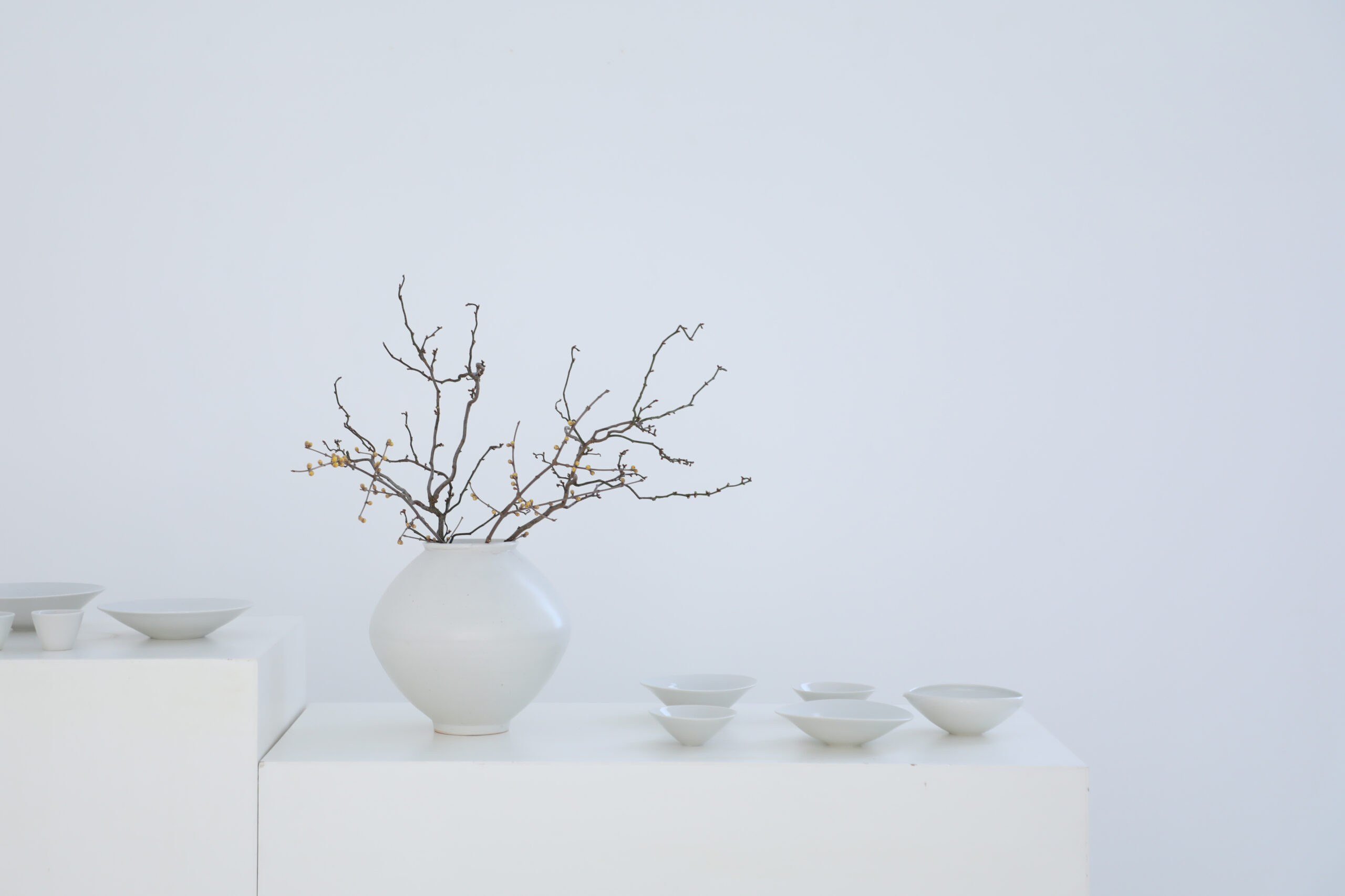 information | evam eva